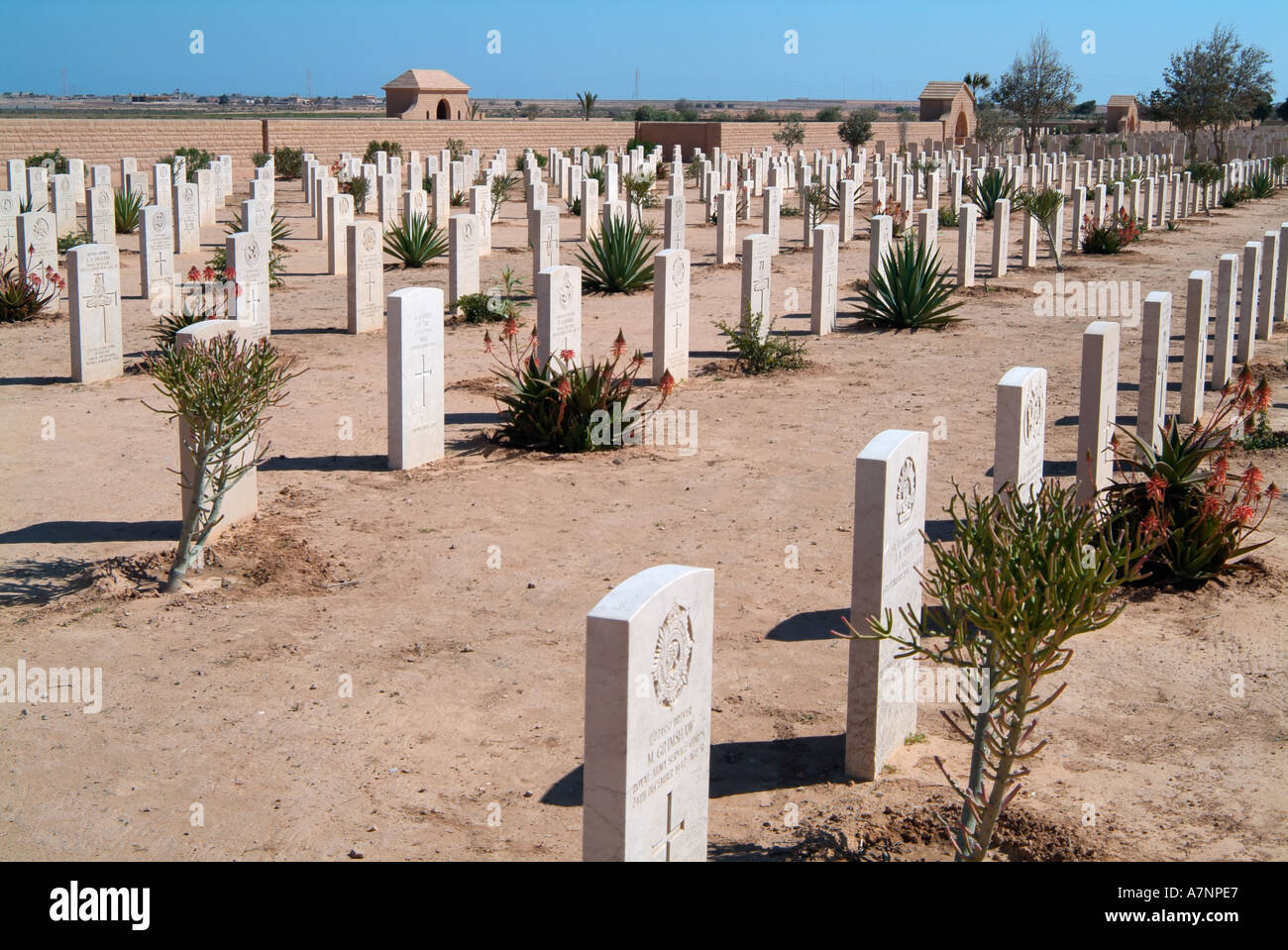 Tobruk (commonwealth) War Cemetery, Tobruk, Libya Stock Photo, Royalty ... Tobruk (commonwealth) War Cemetery, Tobruk, Libya Stock Photo, Royalty ...