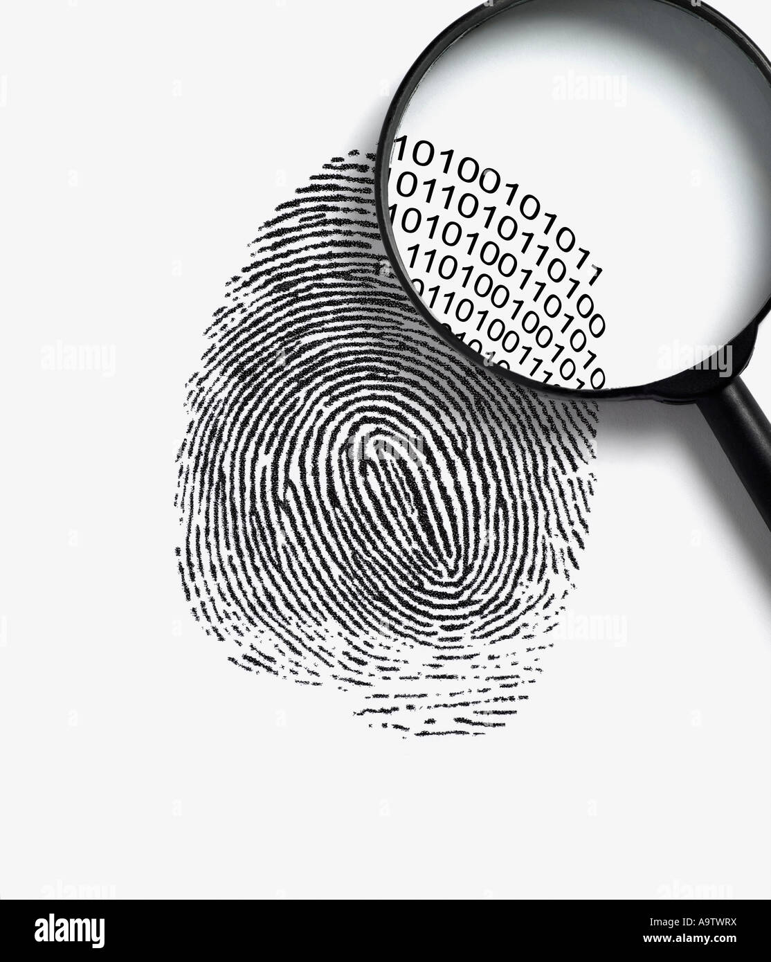 Fingerprint with a Magnifying Glass Revealing Biometric Binary Code ... Fingerprint with a Magnifying Glass Revealing Biometric Binary Code ...