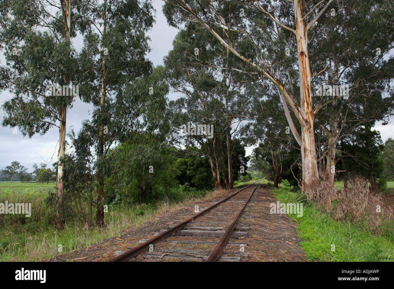 Disused railway line. Healesville, Victoria, Australia Stock Photo ... Disused railway line. Healesville, Victoria, Australia Stock Photo ...