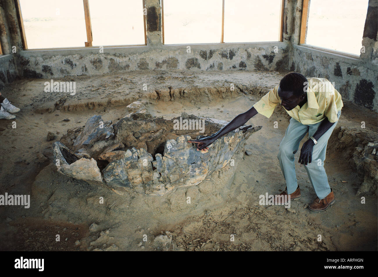Fossil of prehistoric turtle with Museum Guide at Koobi Fora Kenya ... Fossil of prehistoric turtle with Museum Guide at Koobi Fora Kenya ...