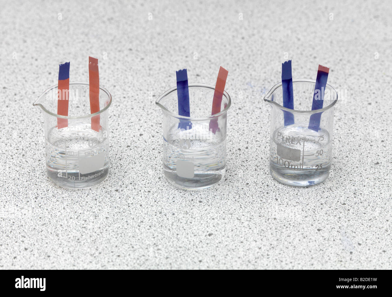 Litmus Paper In Use Blue Litmus Turns Red Under Acidic Conditiona And Litmus Paper In Use Blue Litmus Turns Red Under Acidic Conditiona And