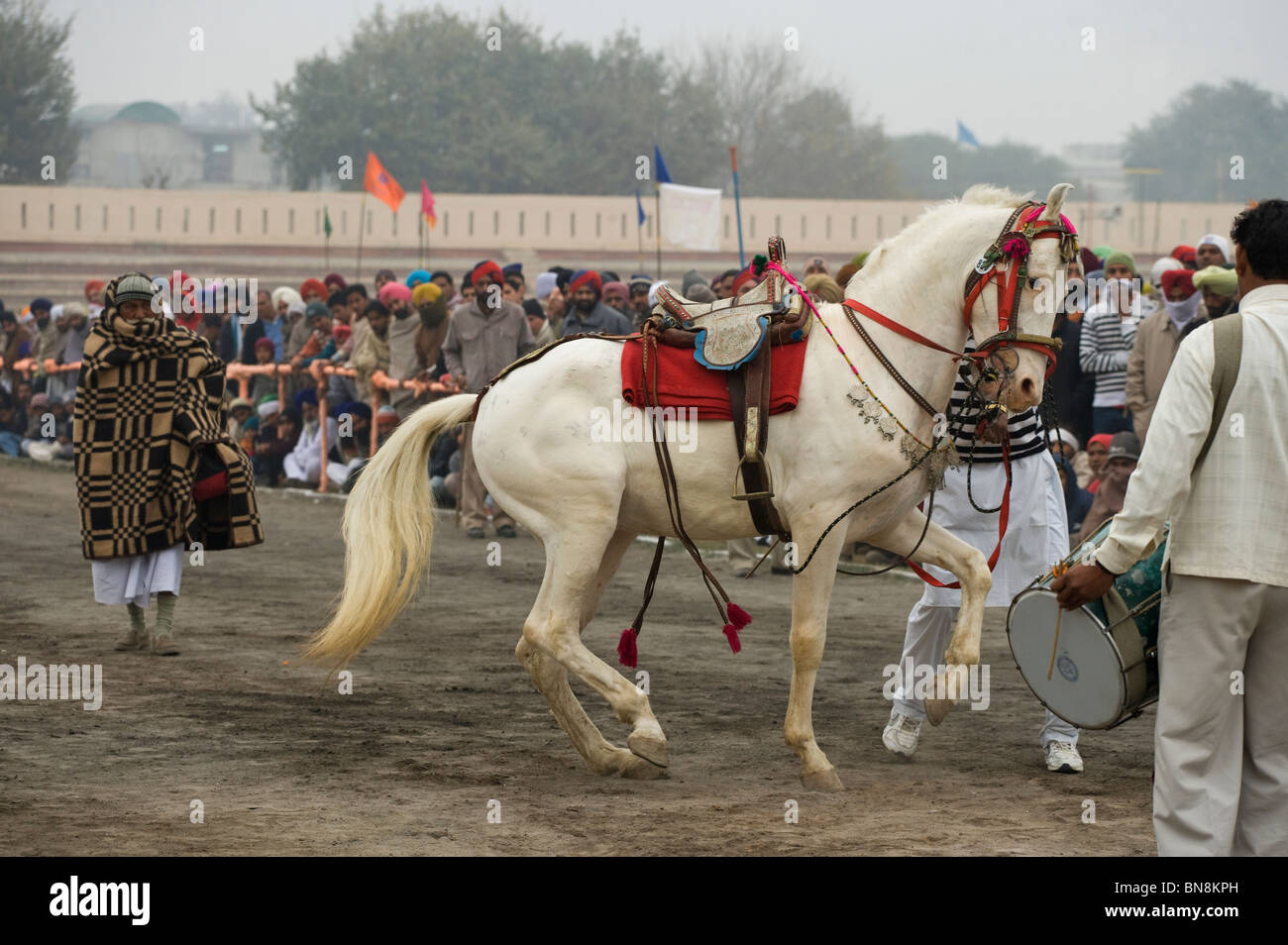 Muktsar India Maghi Mela Punjab Horse Dance Fair Stock Photo, Royalty ... Muktsar India Maghi Mela Punjab Horse Dance Fair Stock Photo, Royalty ...