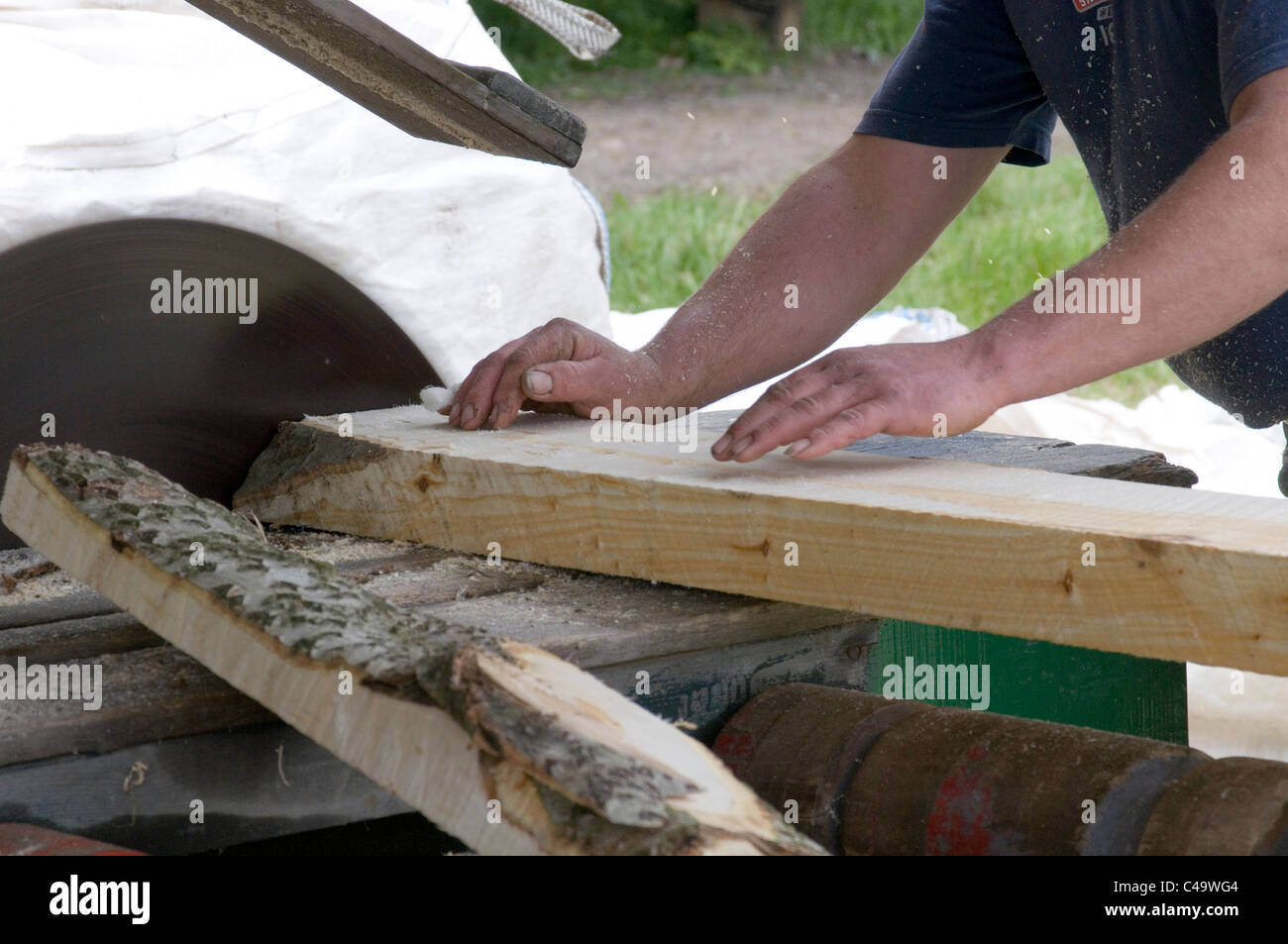 sawmill saw mill circular saws cutting wood dangerous equipment no ... sawmill saw mill circular saws cutting wood dangerous equipment no ...