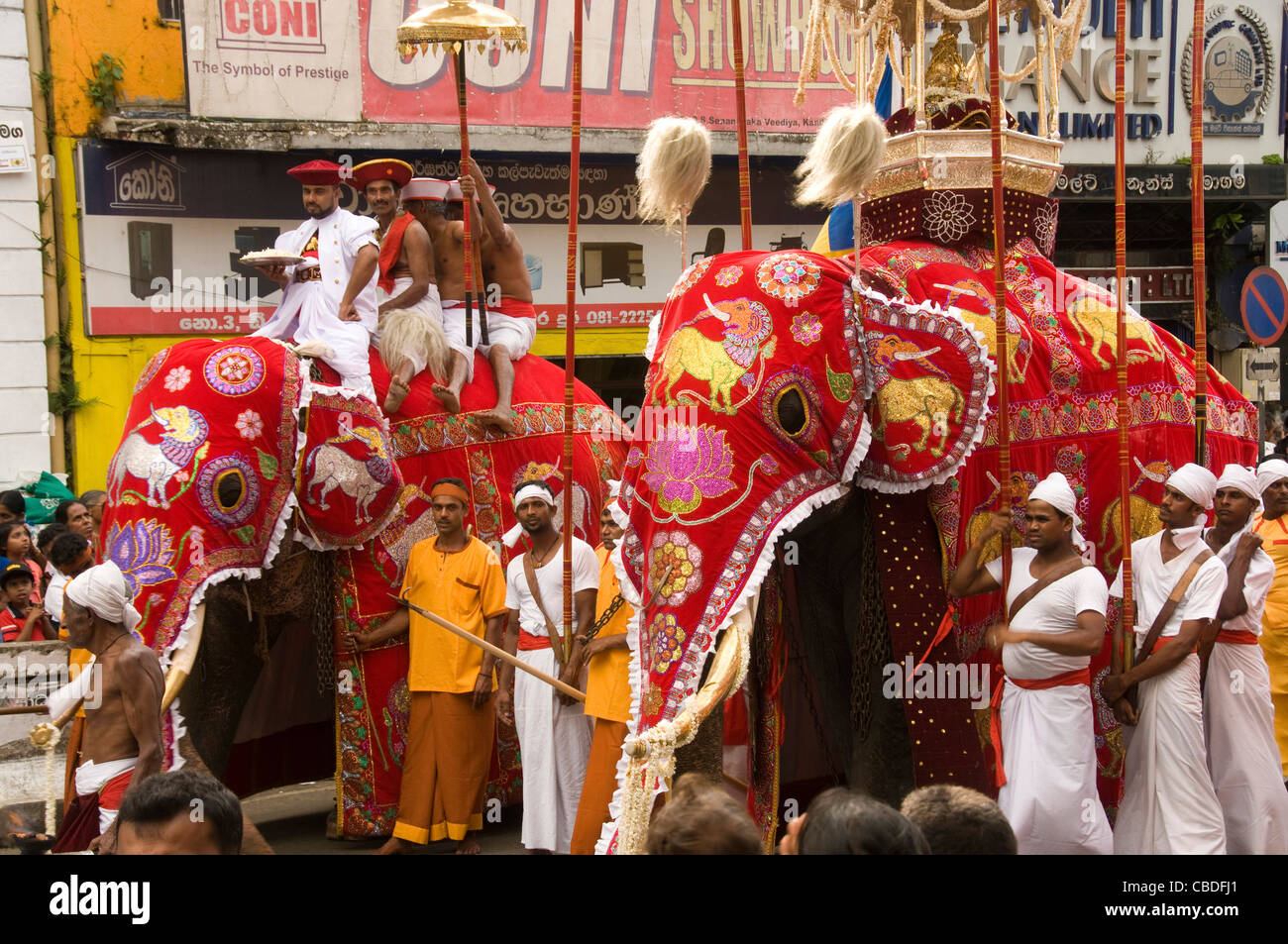 Kandy Sri Lanka Perahera Festival Parade With Elephants Performers