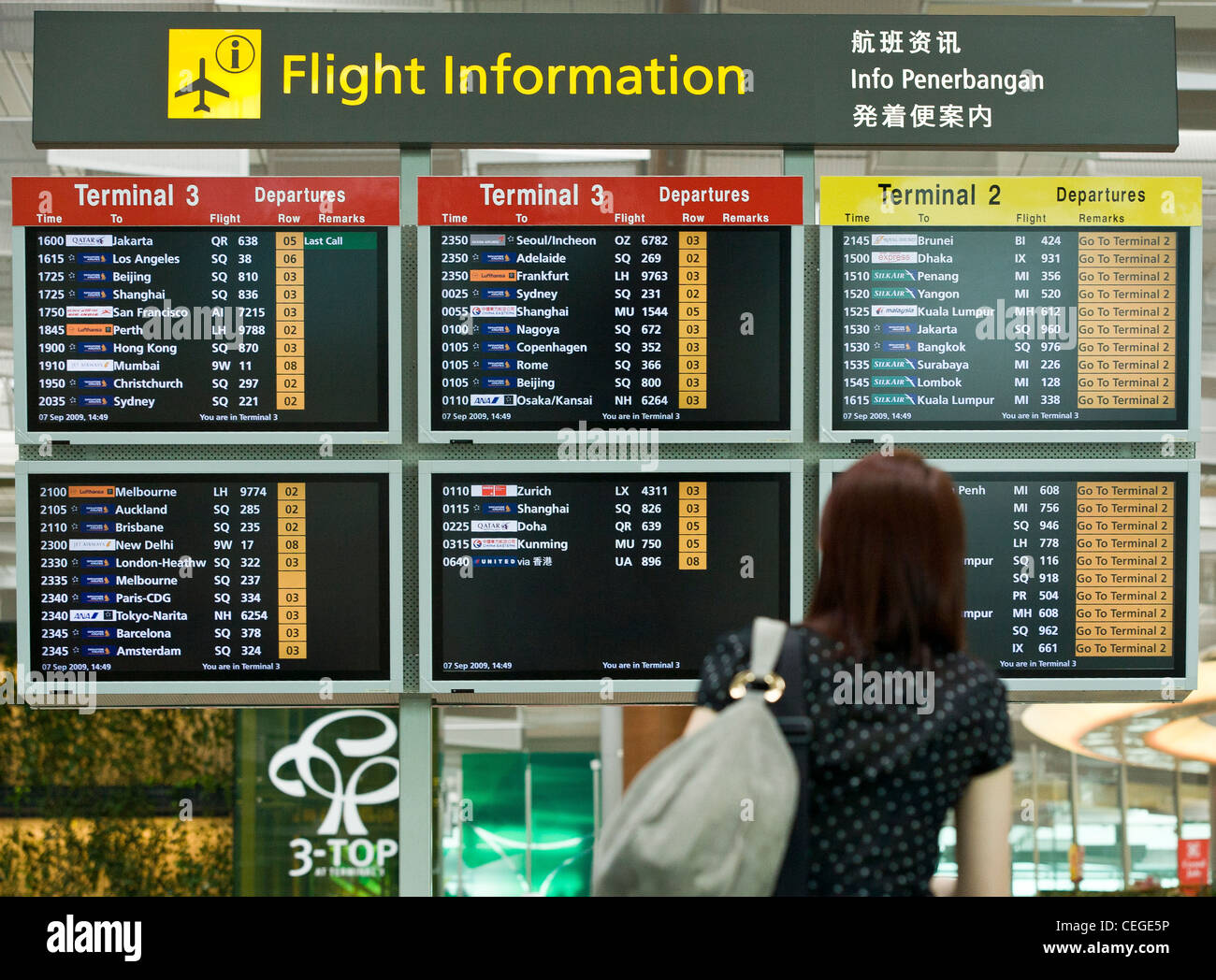 A Passenger Looks At Flight Departure And Arrival Information On Stock