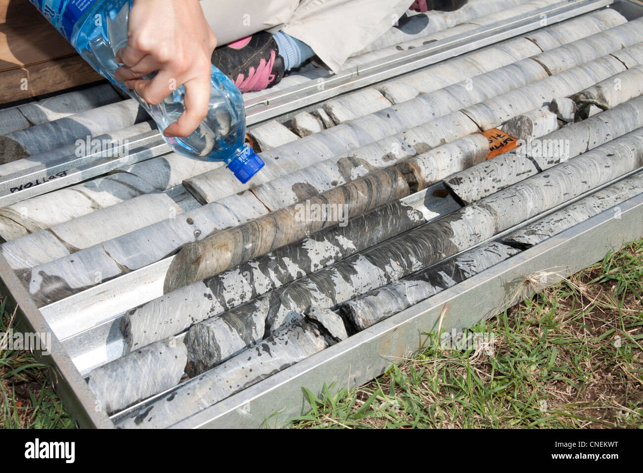 Female Geologist Inspecting And Logging Nq Diamond Drill Core For Stock