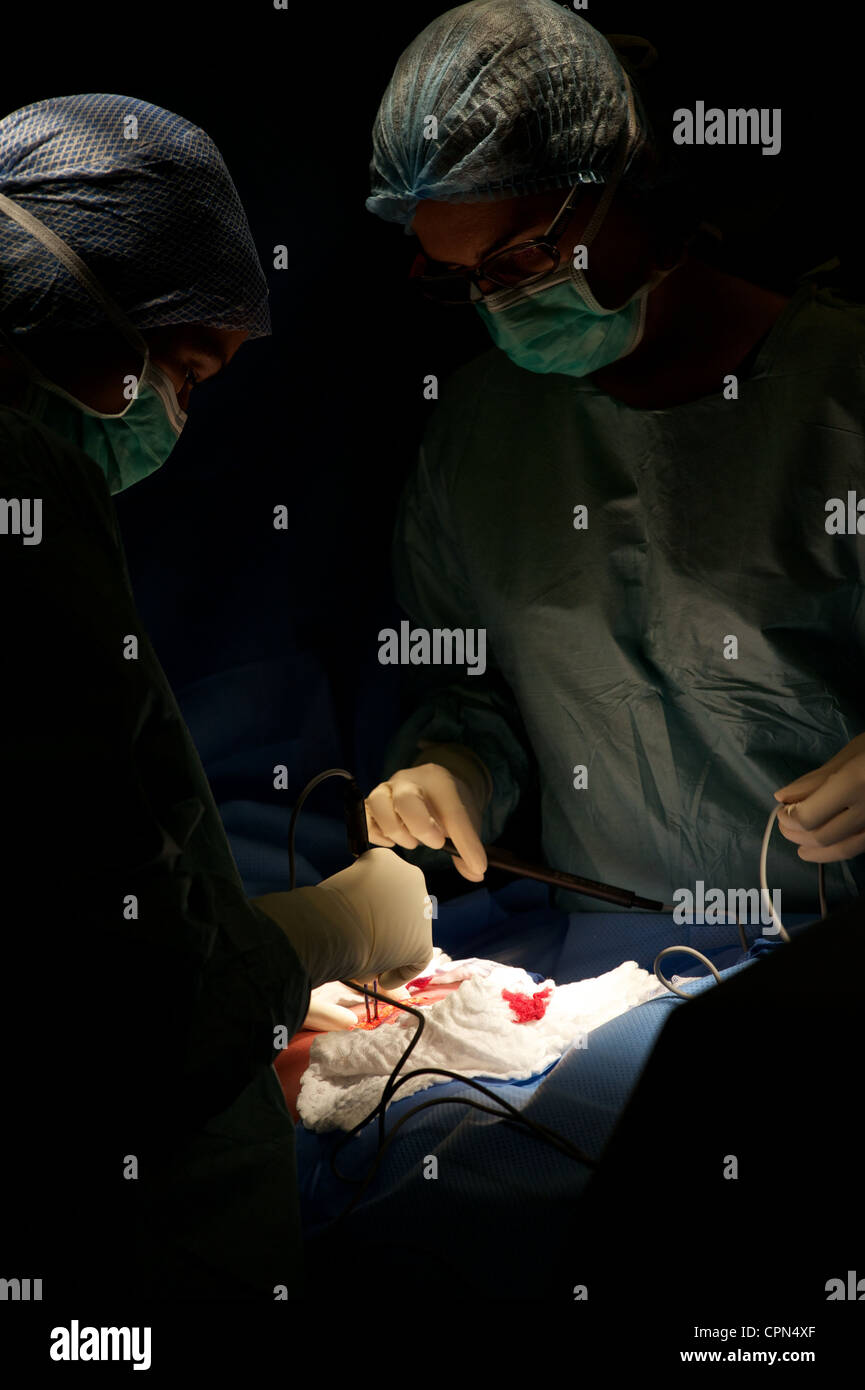 SURGERY Stock Photo, Royalty Free Image: 48408039 - Alamy SURGERY Stock Photo, Royalty Free Image: 48408039 - Alamy
