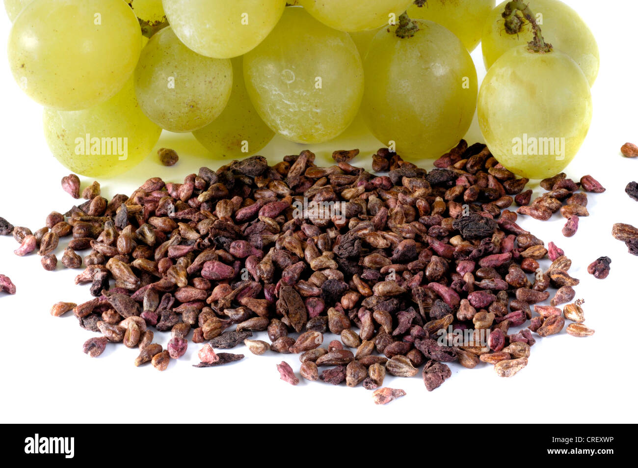 Grape-vine, Vine (vitis Vinifera), Vine Grape Seeds Stock Photo ... Grape-vine, Vine (vitis Vinifera), Vine Grape Seeds Stock Photo ...