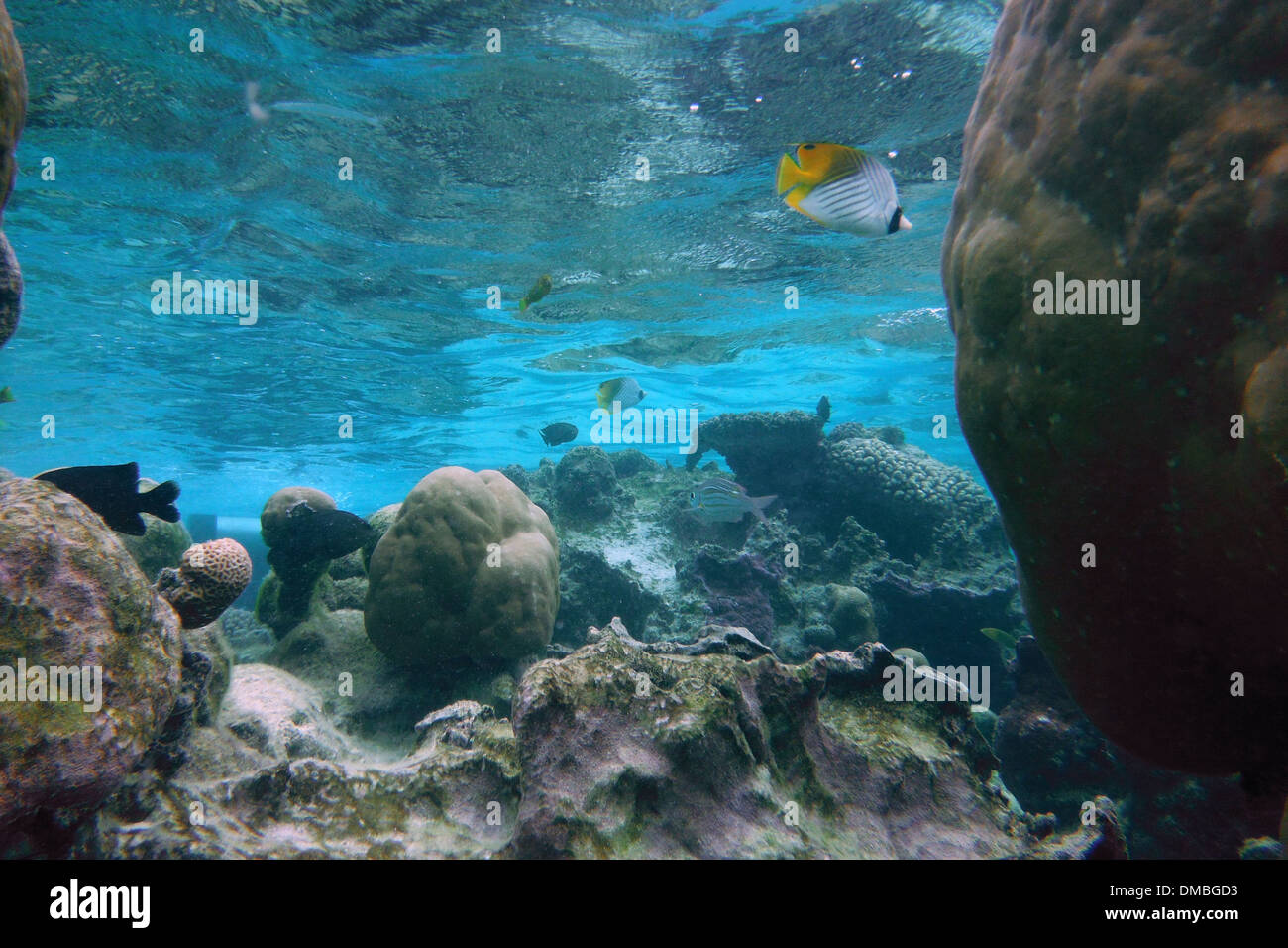 Aitutaki Cook Island Polynesia South Pacific Ocean Inside The Stock