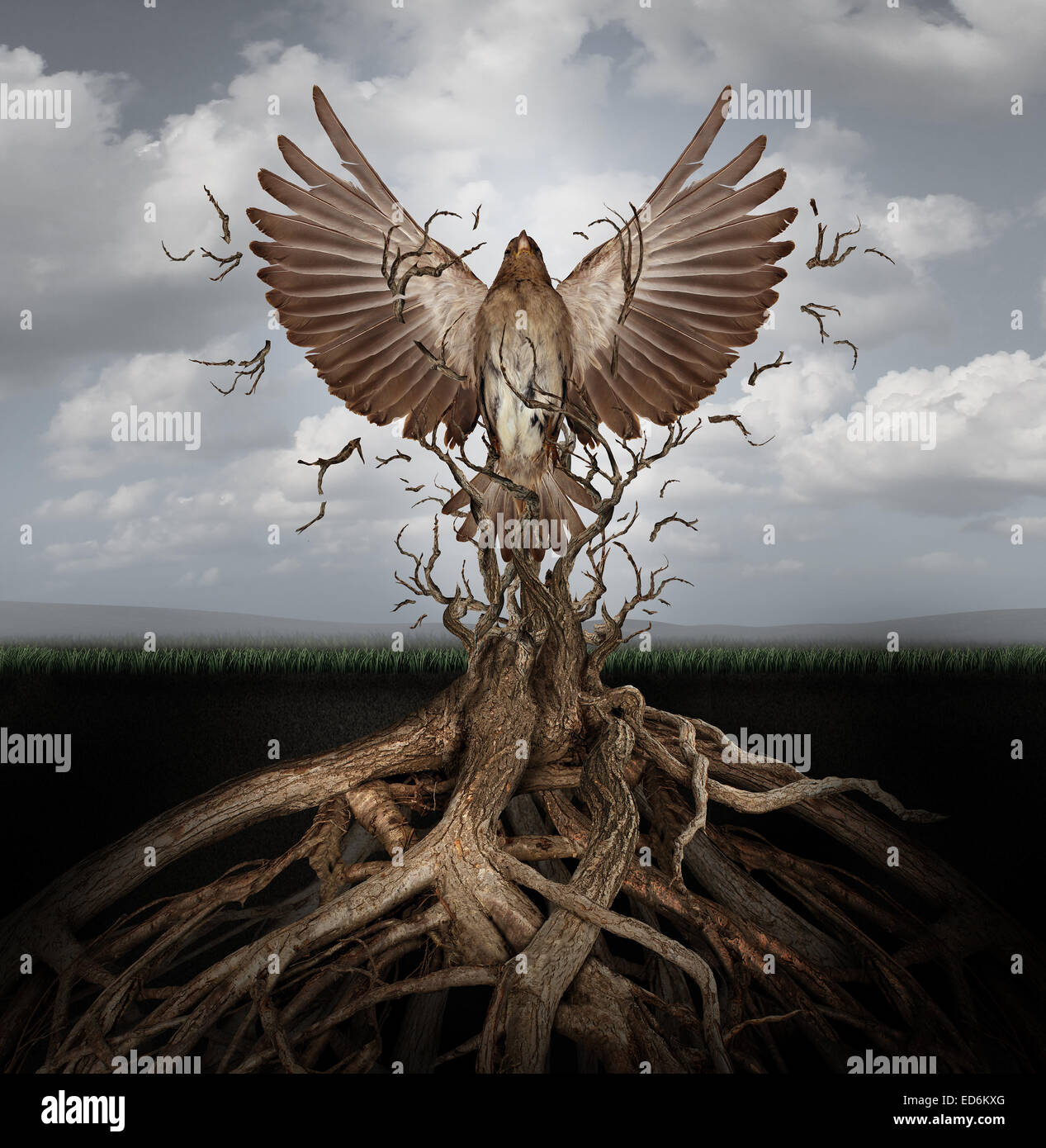New Life Breaking Free As A Concept For Freedom And Power As The Rise 