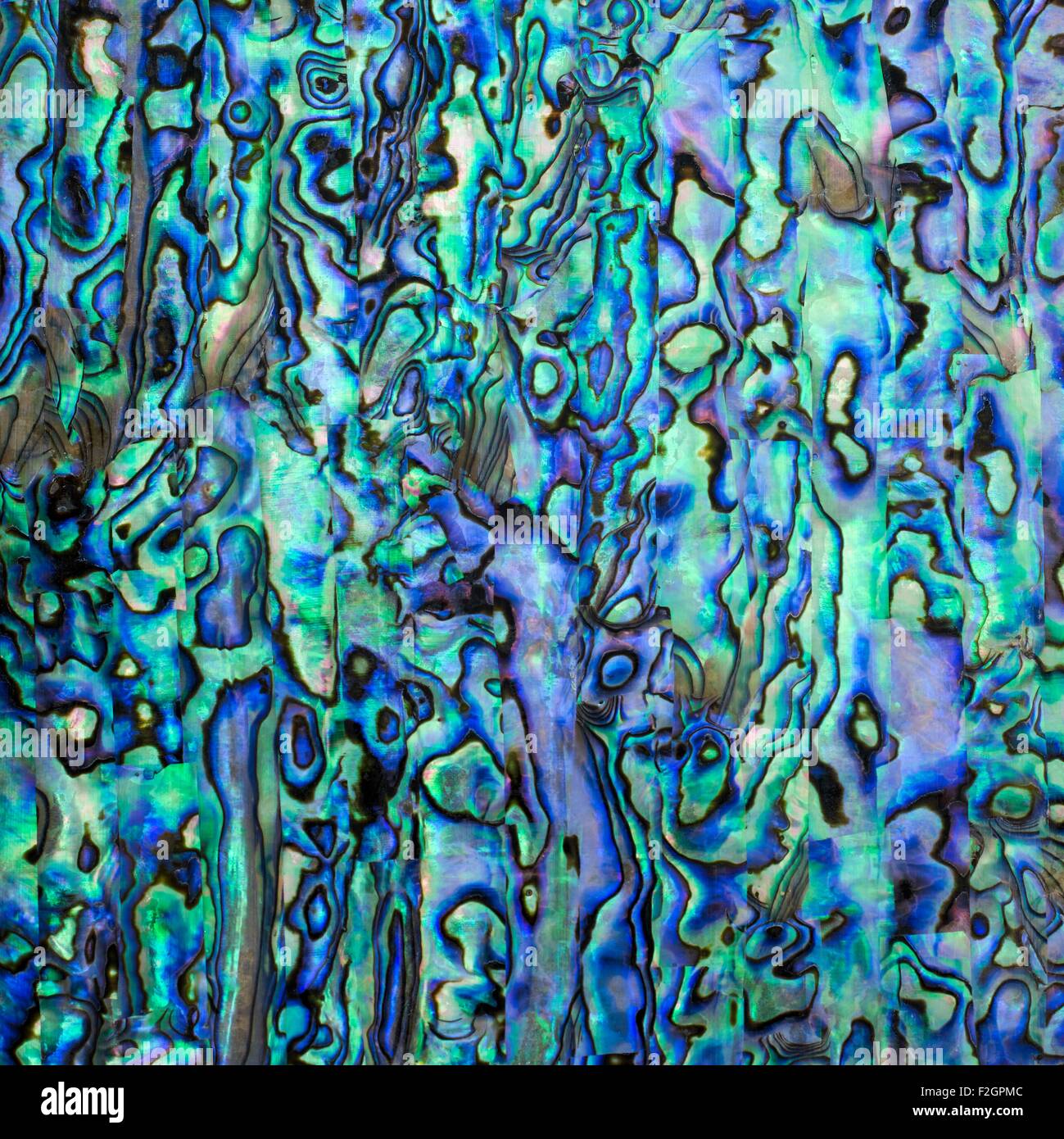 Abalone nacre shell Stock Photo, Royalty Free Image: 87650204 - Alamy