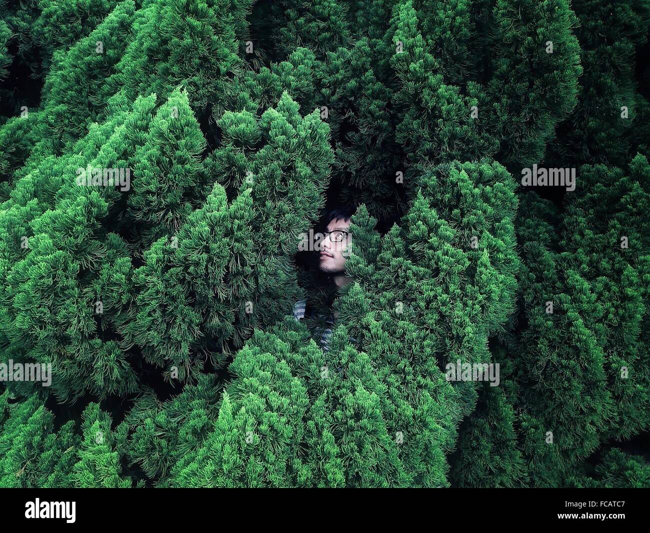 Young Man Hiding In Bush Stock Photo, Royalty Free Image: 93666391 - Alamy Young Man Hiding In Bush Stock Photo, Royalty Free Image: 93666391 - Alamy