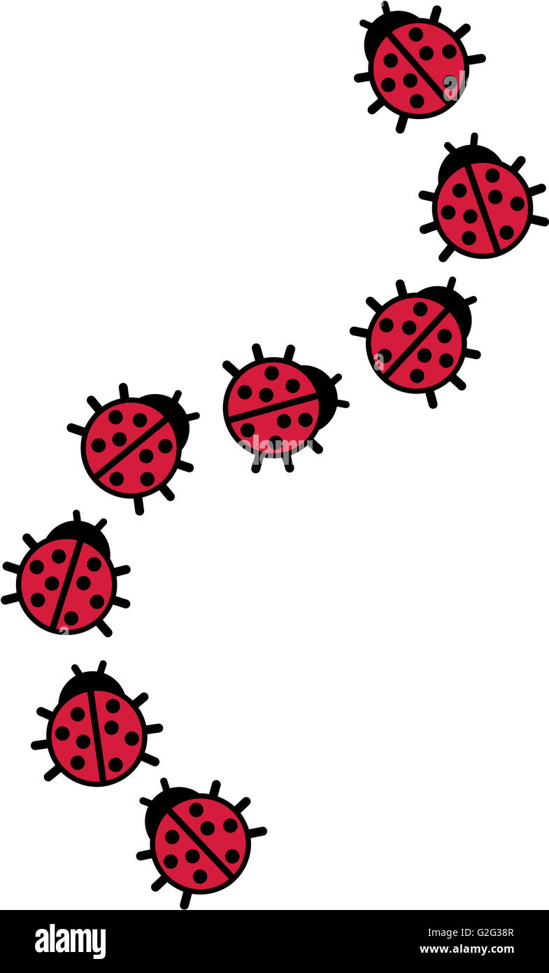 Ladybugs in a row Stock Photo, Royalty Free Image: 104845351 - Alamy