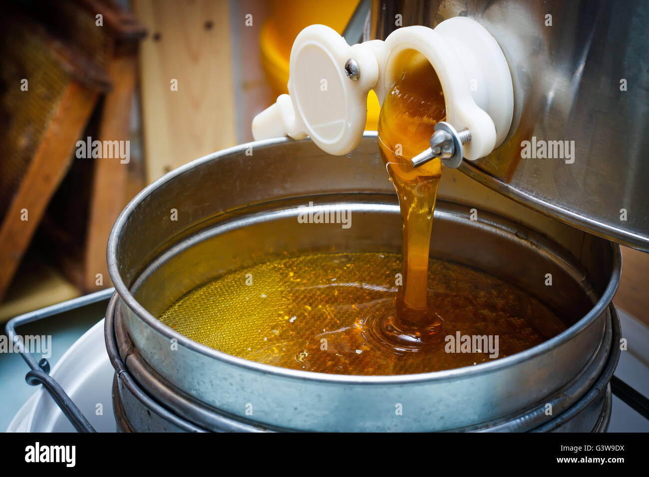 Honey Extraction Drip Method at Stephen Mcclain blog Honey Extraction Drip Method at Stephen Mcclain blog