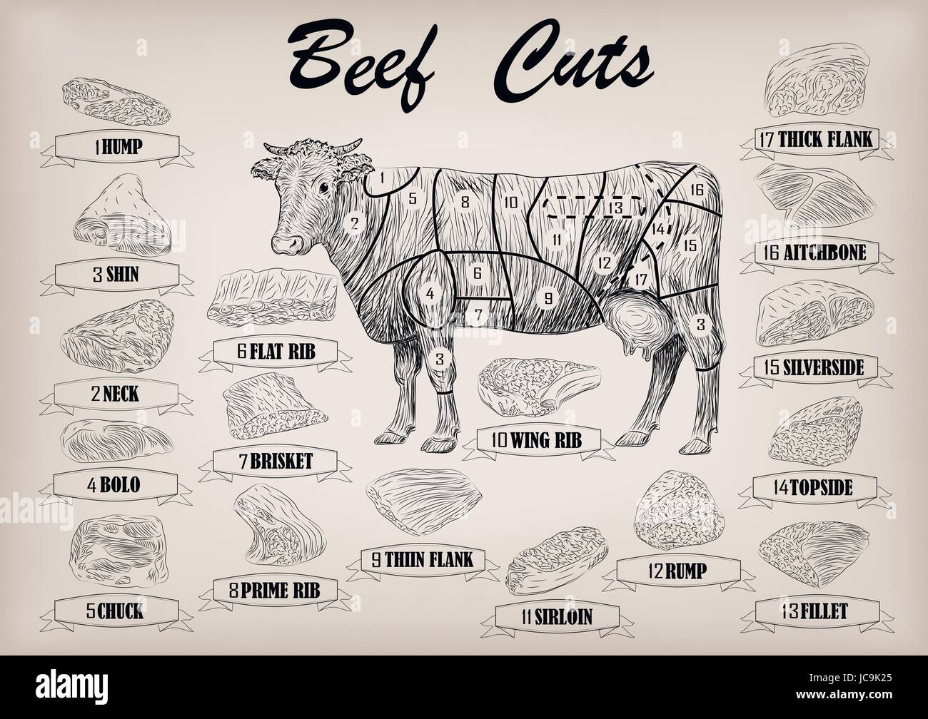 Beef cow bull whole carcass cuts cut parts infographics scheme sign ... Beef cow bull whole carcass cuts cut parts infographics scheme sign ...