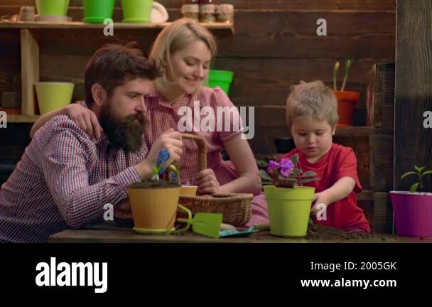 Family planting together. Spring and hobbies, family grows flowers ...