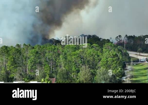 Emergency service firetrucks extinguishing wildfire burning in Florida ...