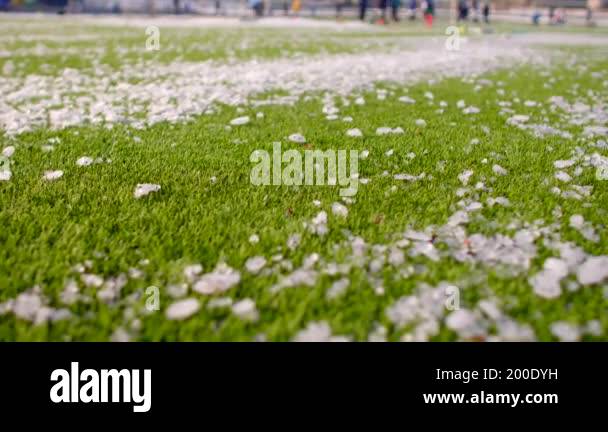 preparatory process of beginning of training, white line game zone ...