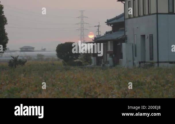 Dry Soyfield and Villa, Sunrise and electrical grid in Kyushu ...