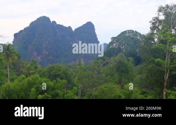 Nature mountains tropical jungle forest limestone cliffs panorama and ...