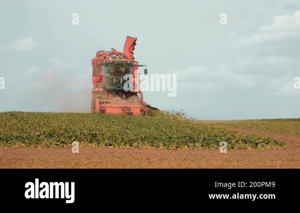 Red Agricultural Harvester on a Crop Field. A red agricultural ...