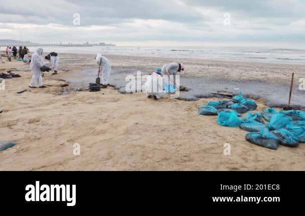 December 19, 2024. Anapa, Russia. Volunteers cleaning the ocean ...