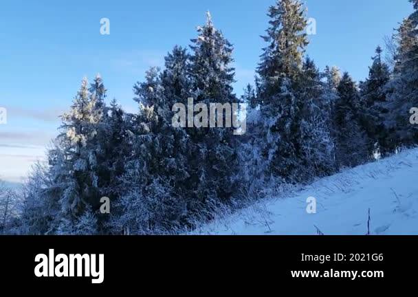 a beautiful winter landscape of a mountain with snow covered forest in ...