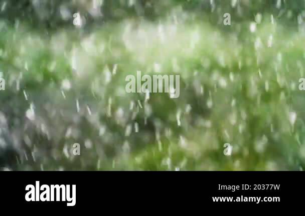 Snowfall outside the window turns the green forest into a majestic ...