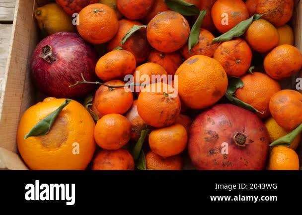 Upcycling Food Can Help Reduce Food Waste . High quality 4k footage ...