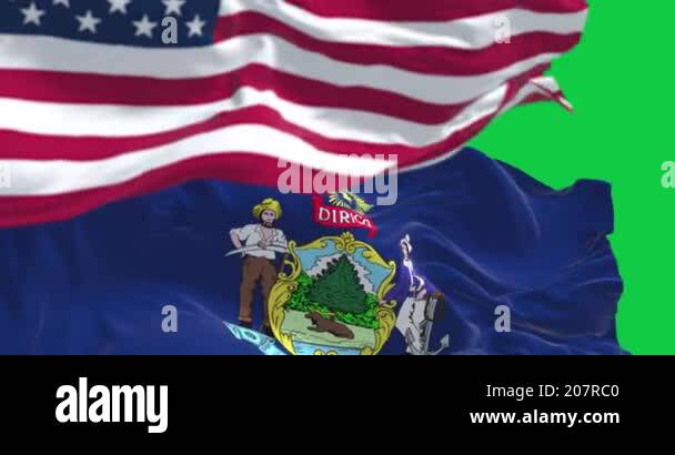 Maine state flags and the American flag waving in the wind isolated on ...