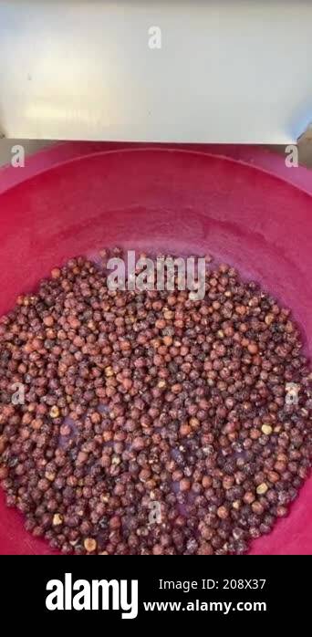 A colorful collection of tiny seeds in a bright red bowl, perfect for ...