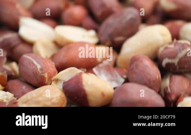 A captivating collection of raw peanuts is showcasing their variety of ...
