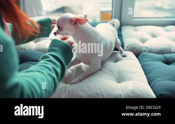 Young red-haired woman trying to put on medical mask on beautiful white ...