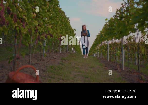Controlling walk Stock Videos & Footage - HD and 4K Video Clips - Alamy