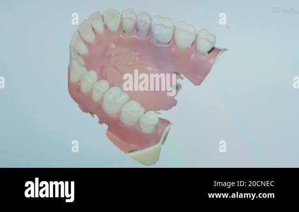 NEW YORK - February 19, 2020: False teeth. Animation removable fake ...