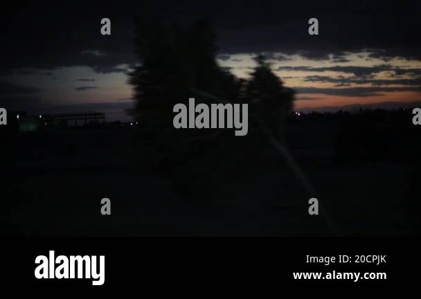 Beautiful evening sunset in Egypt at the background of palm houses ...