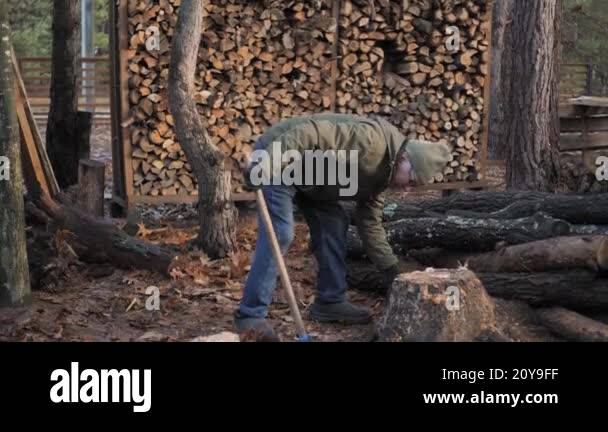 A person is chopping firewood with an axe in a wooded area. Behind them ...