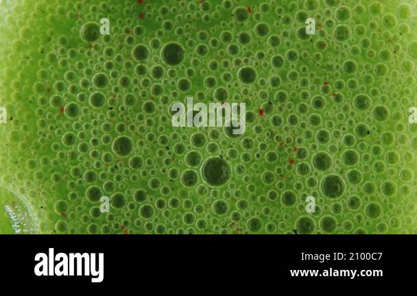 This abstract macro image features a close-up view of a green liquid filled with small bubbles ...