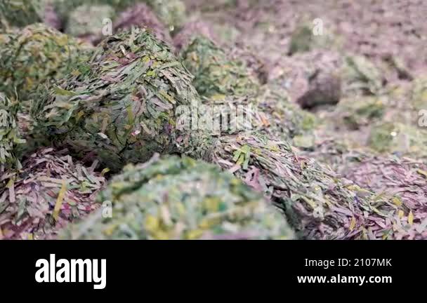 Close-up of shredded Euro banknotes symbolizing financial crises ...