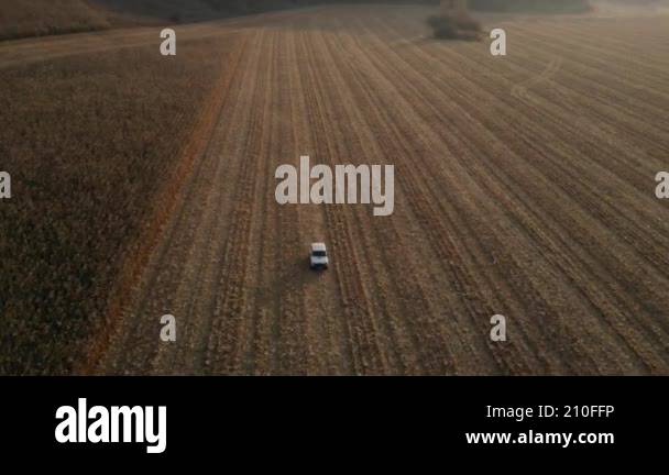Green combine harvesting corn at sunset in Ukraine Stock Video Footage ...