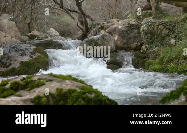Purest transparent water in a mountain river flowing among the stones ...