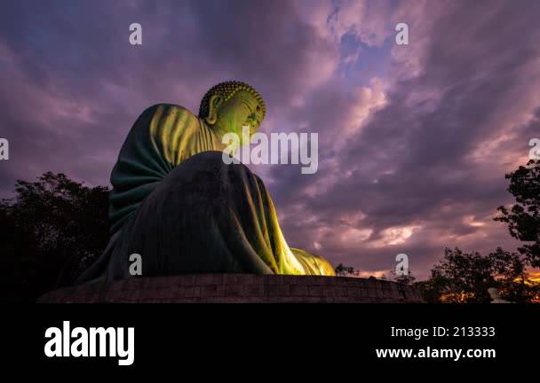 Scenery a large Buddha statue surrounded by lush forest on the top of ...