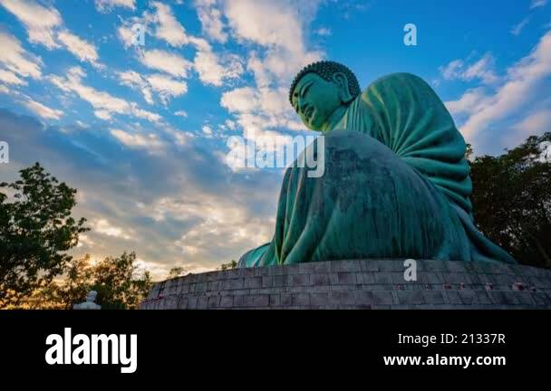 Scenery a large Buddha statue surrounded by lush forest on the top of ...