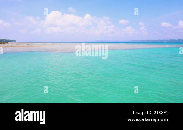 Blue Sea Coastline with Mangrove Forest Under Bright Sky at neil Island ...