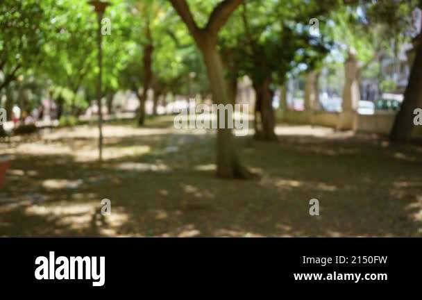 Defocused outdoor park scene with blurred trees and bokeh background ...