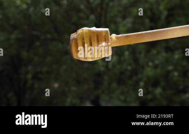 bee honey in jar with an ecological wooden stick spoon on the ...