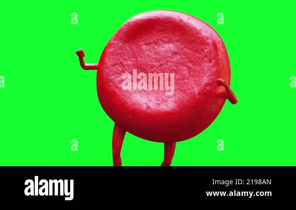 red blood cell character. Realistic 4k green screen animation Stock ...
