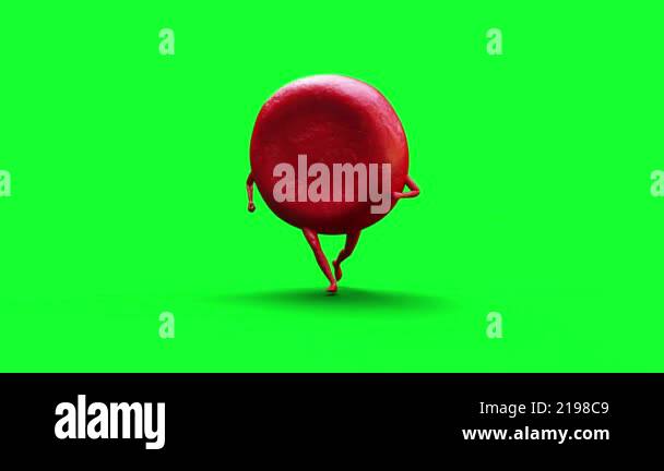 red blood cell character. Realistic 4k green screen animation Stock ...