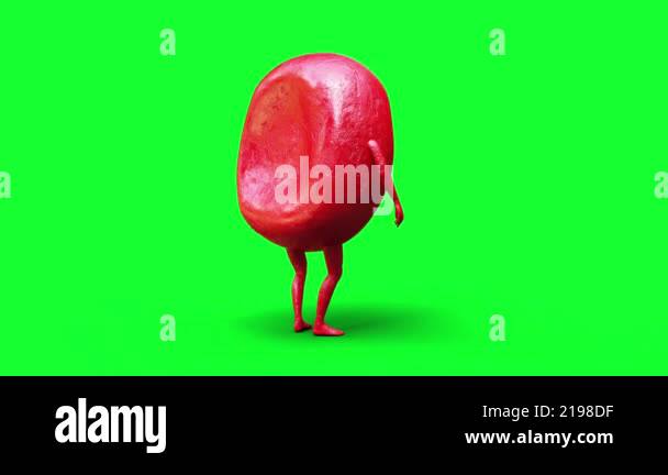 red blood cell character. Realistic 4k green screen animation Stock ...