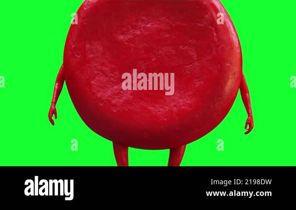 red blood cell character. Realistic 4k green screen animation Stock ...